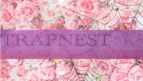 TRAPNEST(トラップネスト) | ハプニングらぼ